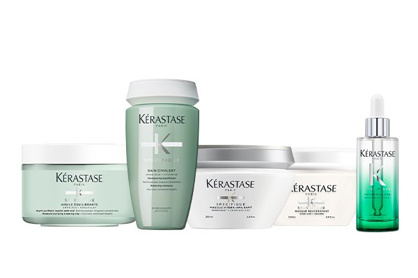 Discover Our Collections - Home